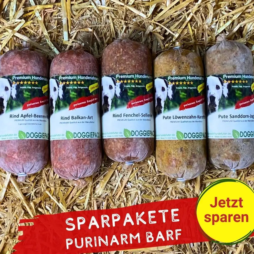 Purinarme Sparpakete frisch & Barf - Doggiepack Hundefutter aus Deutschland