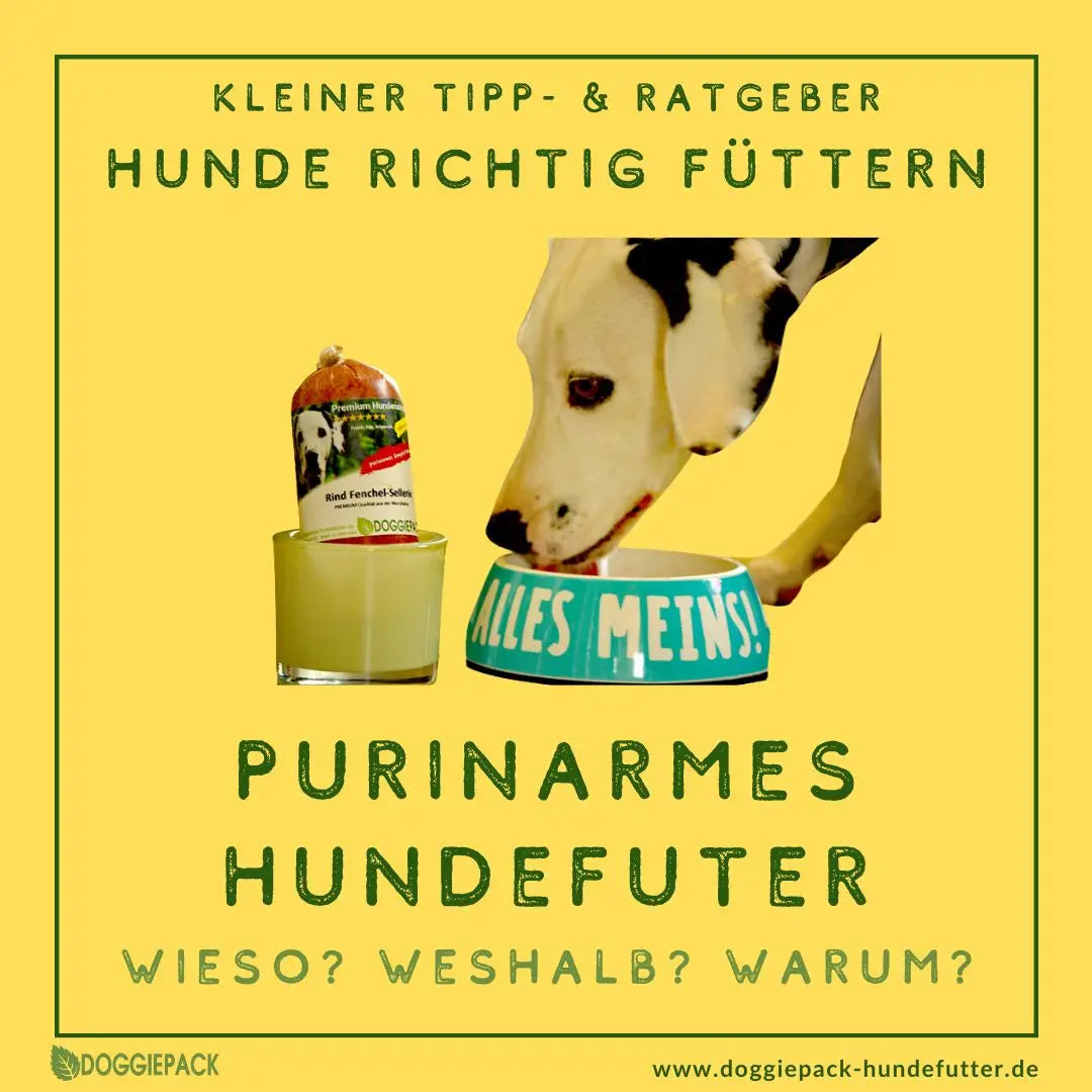 Purinarmes Hundefutter - Wieso, Weshalb, Warum?