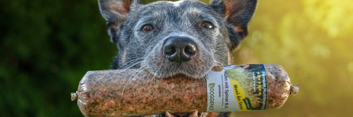 Purinarmes Hundefutter